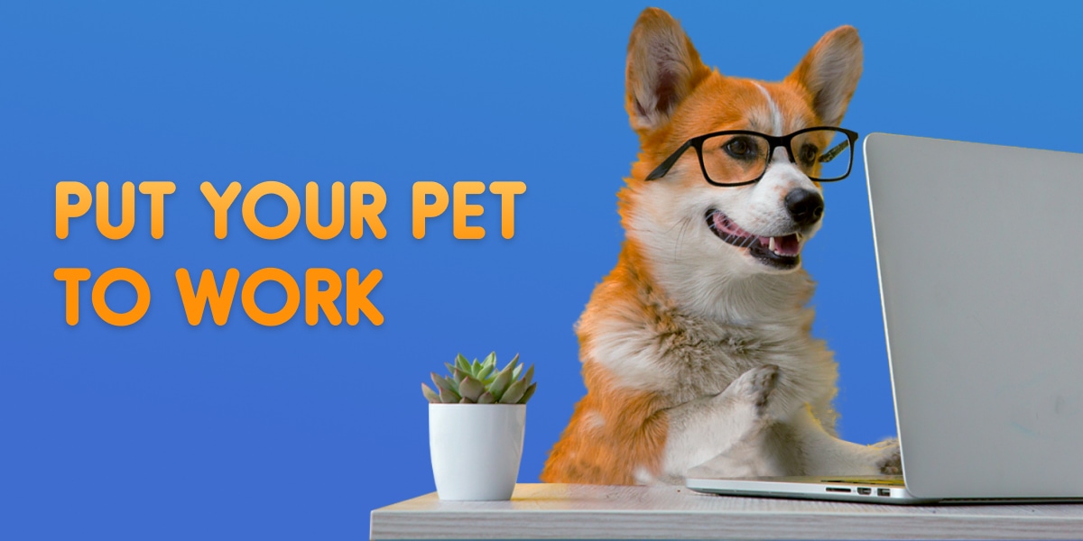 Put Your Pet to Work - Pet Parade