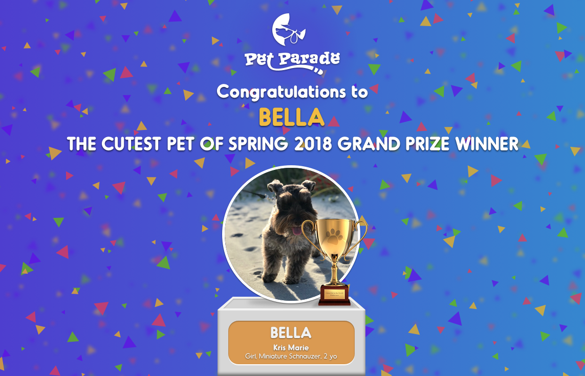 The Cutest Pet of Spring 2018 Photo Contest Winners - Pet Parade